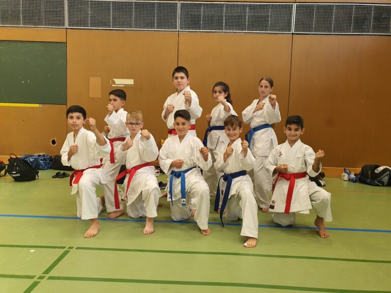 Sportverein Steinheim e.V.